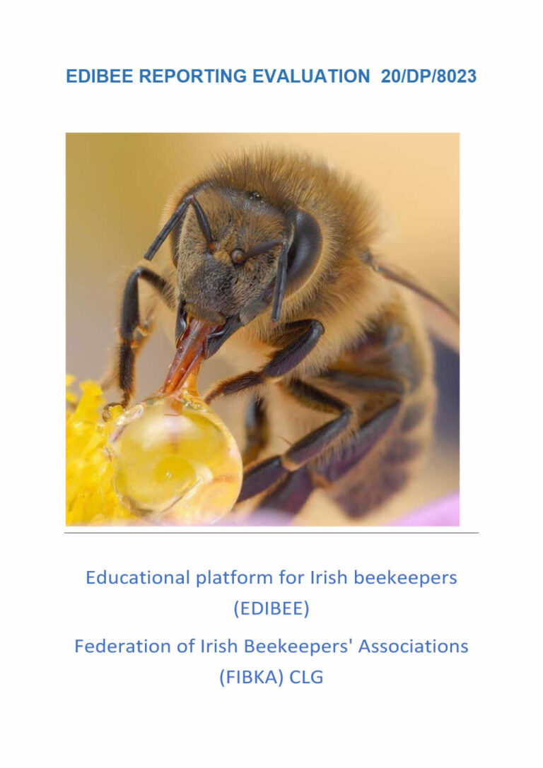 Edibee Reporting Evaluation 20 Dp 8023 The Federation Of Irish